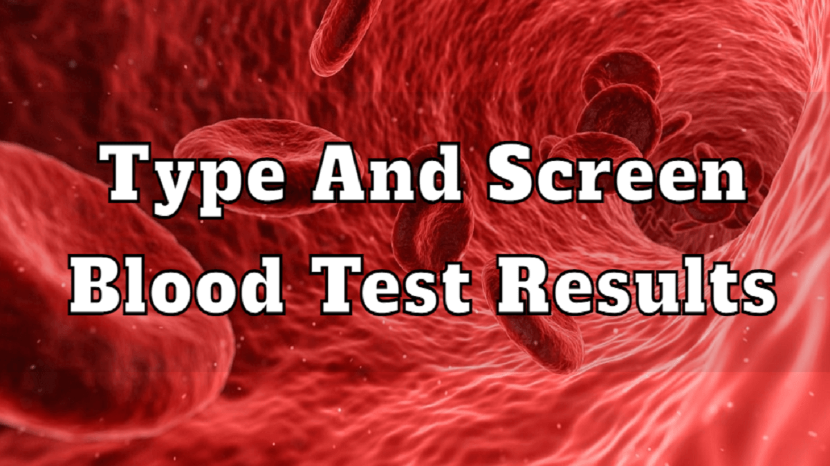 Understanding Your Type And Screen Blood Test Results NursingNotes