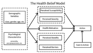 Health Belief Model in Nursing: Enhancing Patient Care - NursingNotes
