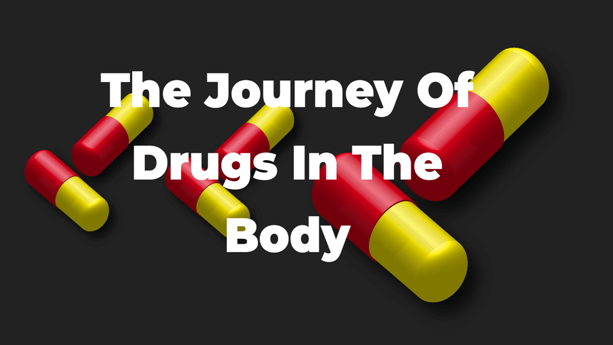 The Journey of Drugs in the Body - NursingNotes